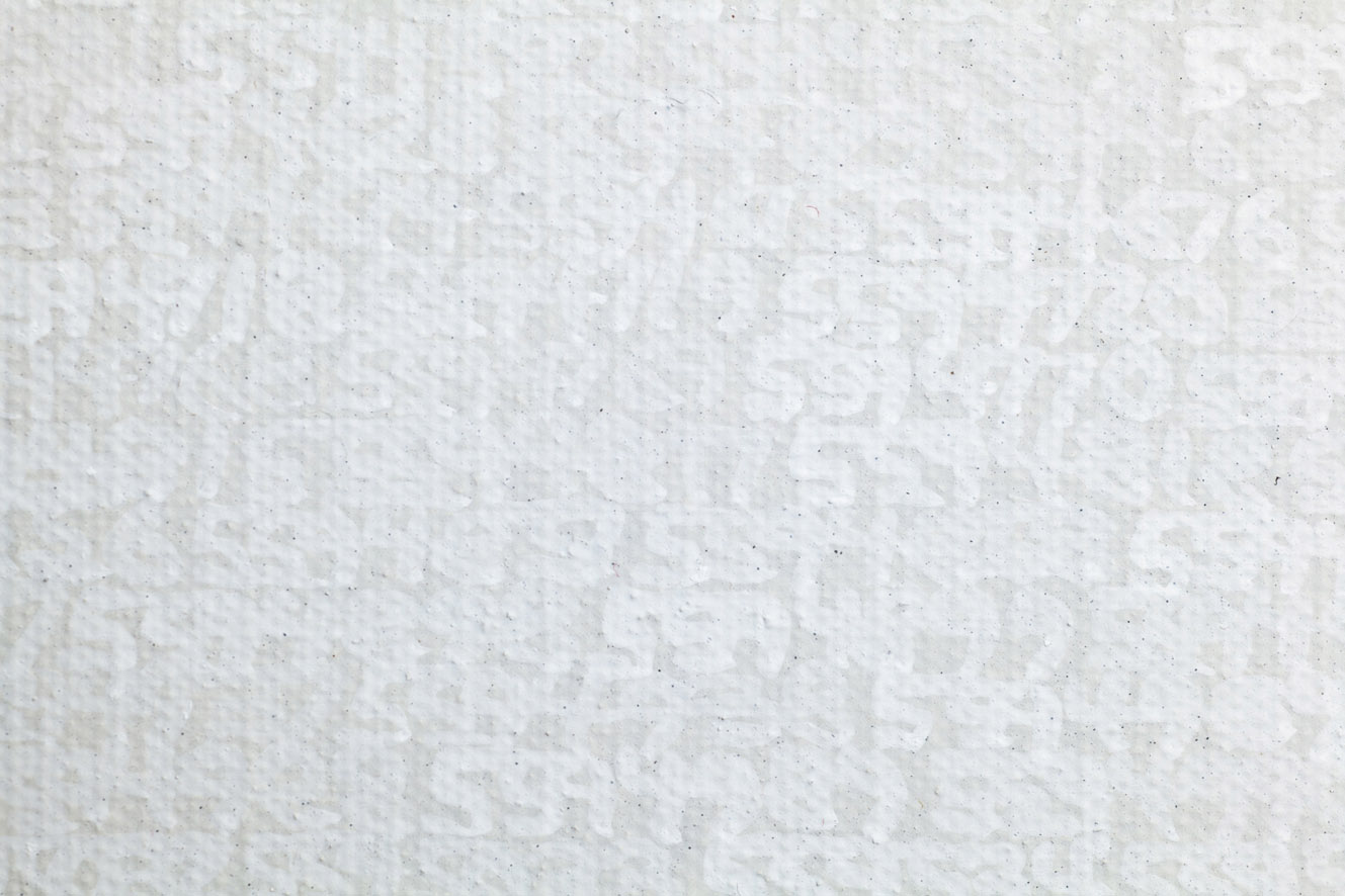 Roman Opalka (1931-2011) § compter / espérance de vie – CultURIEUSE